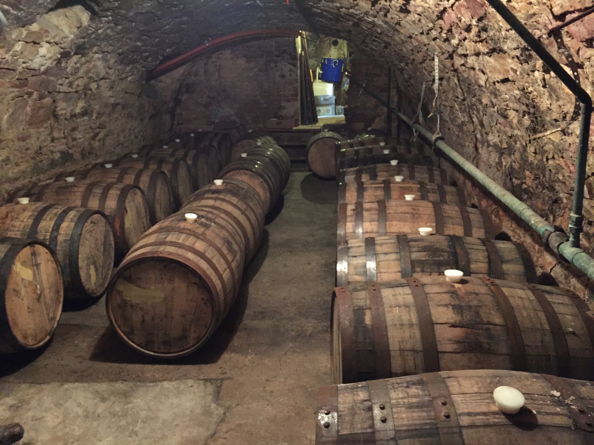 Beer Talk | Brewery Highlight | August Schells Brewery